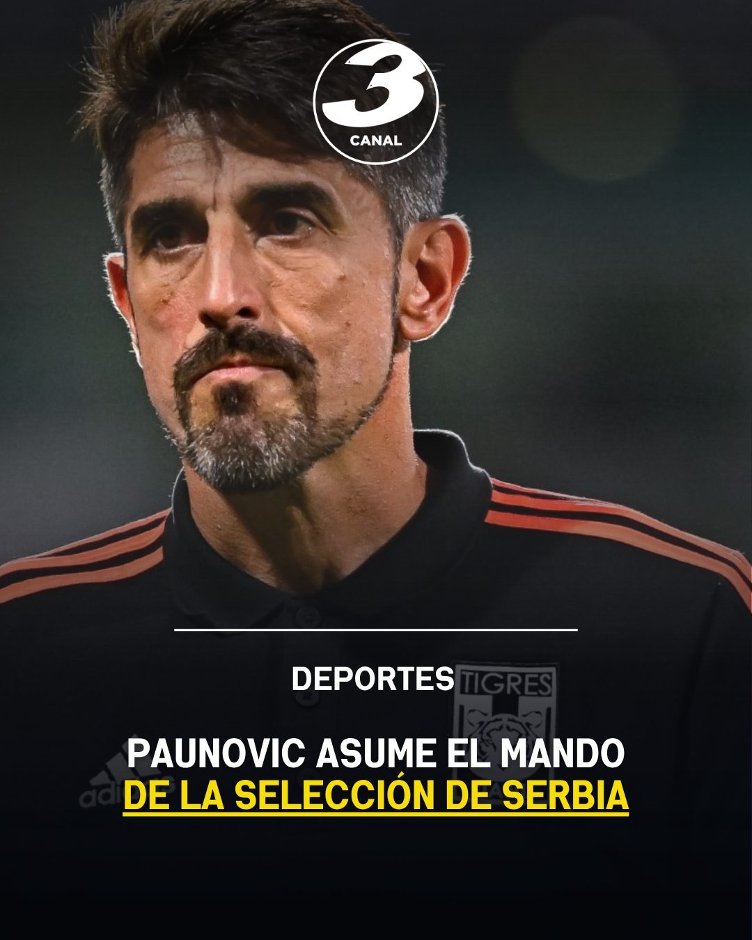Paunovic asume el mando de la Selección de Serbia - El Ahuizote